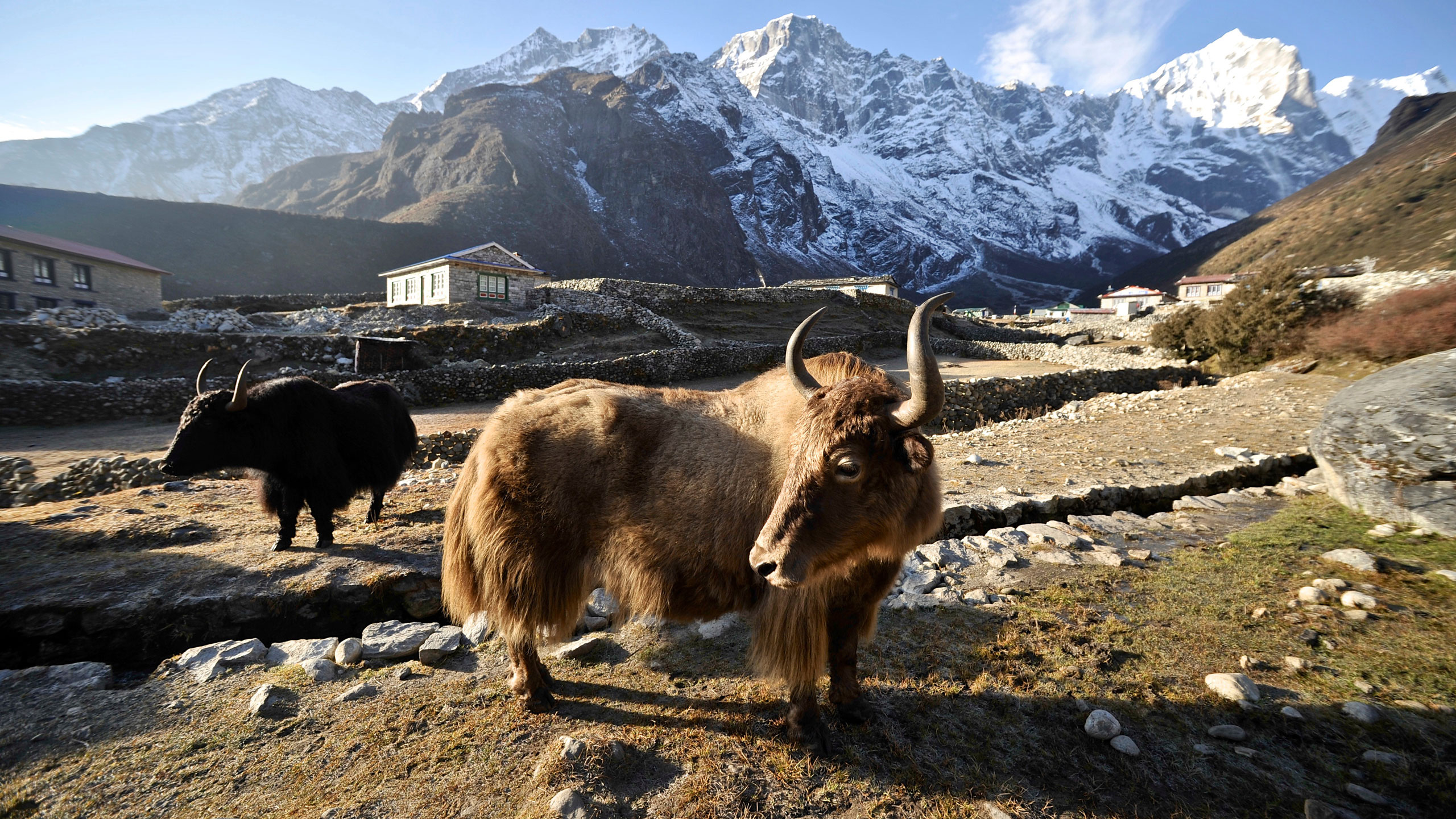 HagePhoto | Adventure Travel & Active Lifestyle Photography